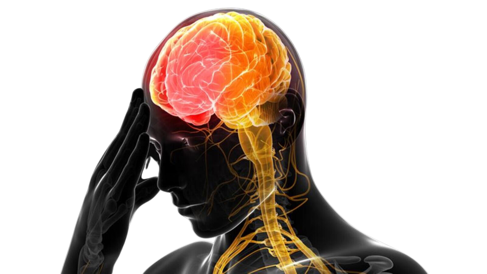 Neuro-Intervention - Universal Hospital