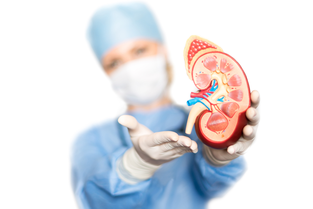 Kidney Surgery - Universal Hospital